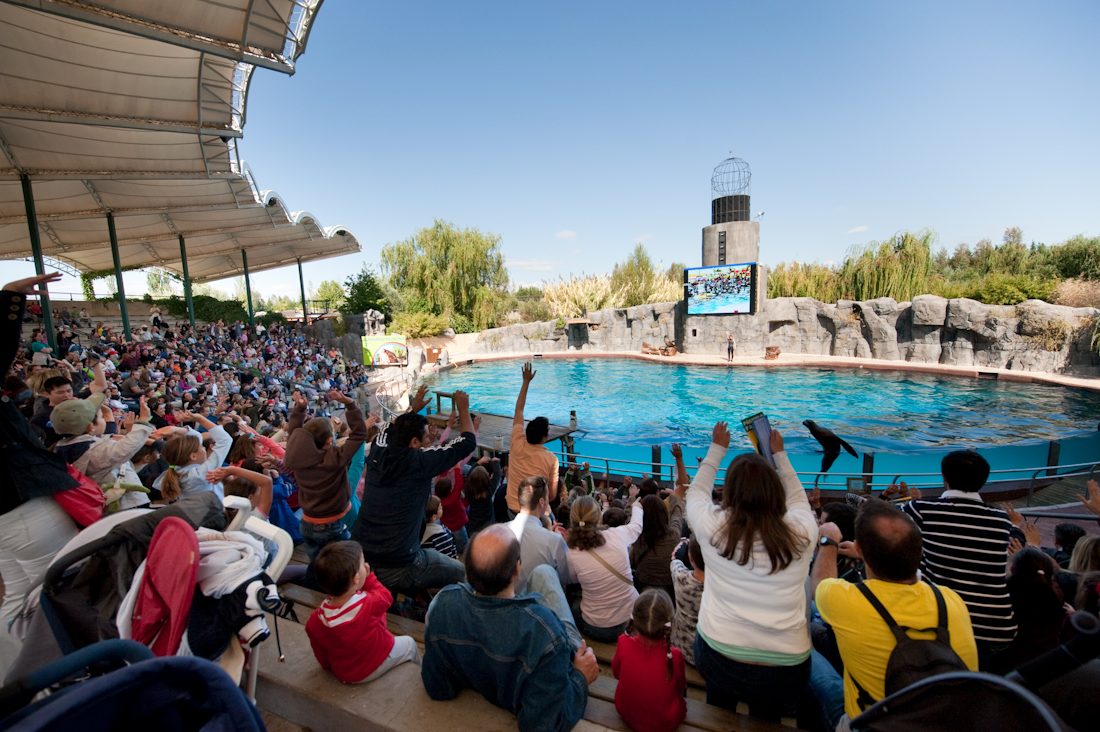 Qué ver en Faunia: Guía para pasar un día Inolvidable