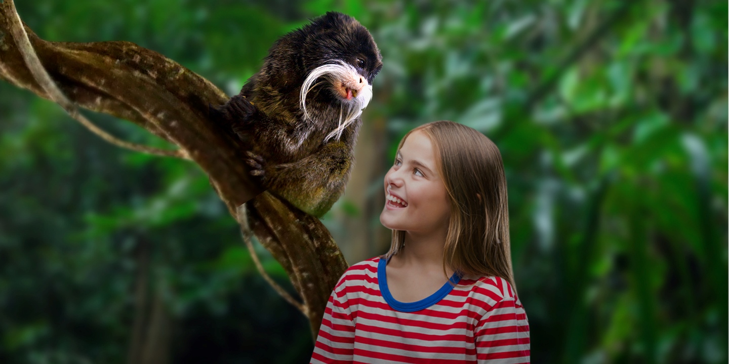 Faunia, Nature Park in Madrid, Much More than a Zoo!