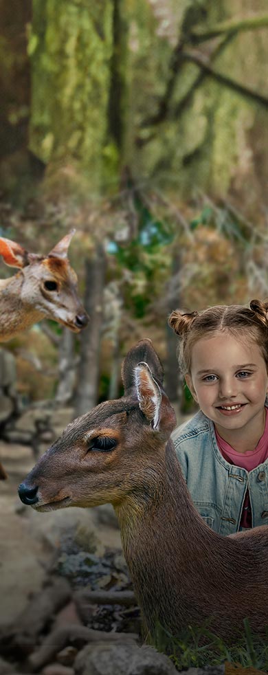 Faunia, Nature Park in Madrid, Much More than a Zoo!