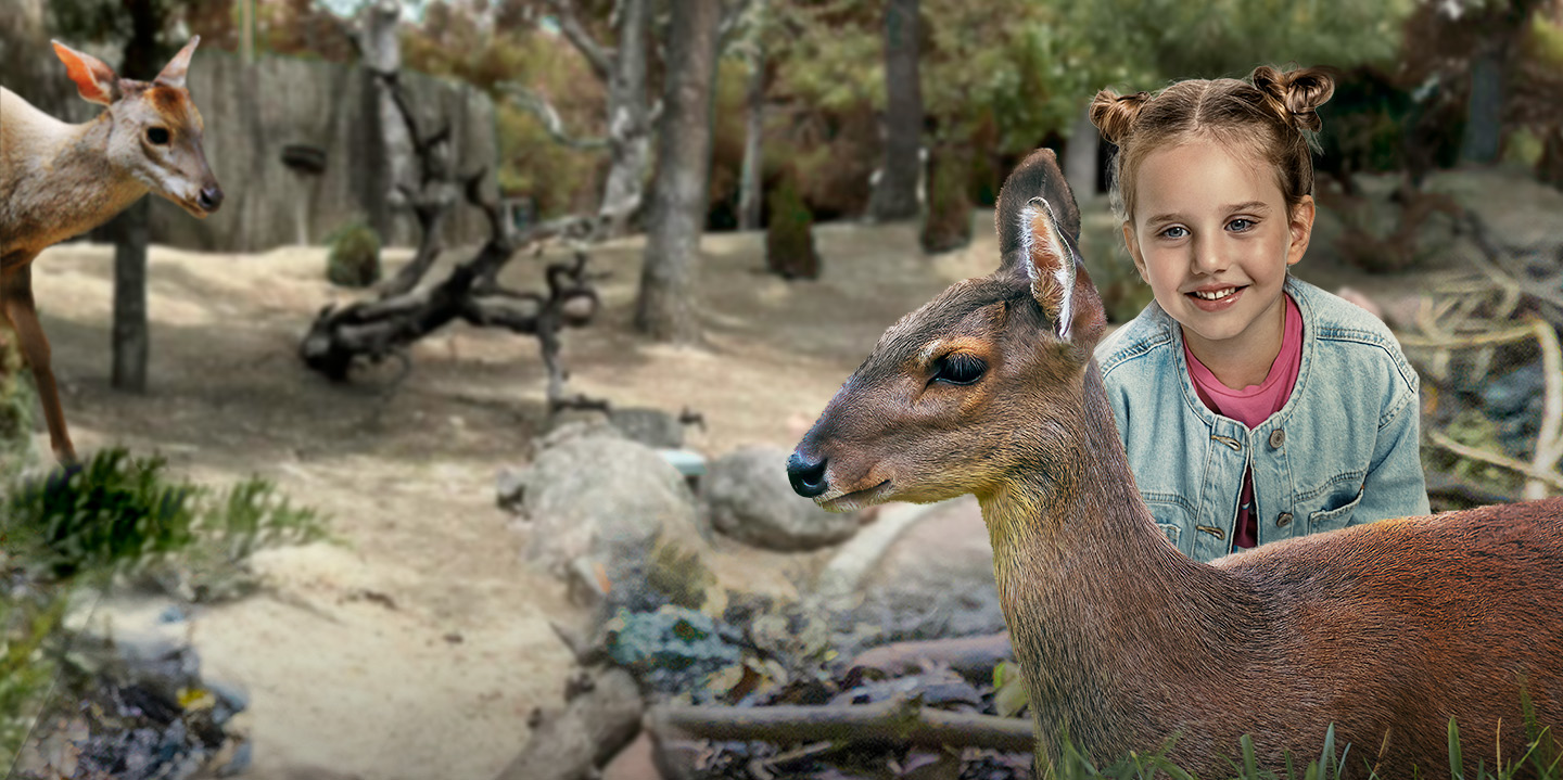 Faunia, parque de naturaleza en Madrid. ¡Mucho más que un Zoo!