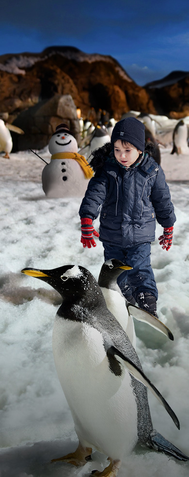 Faunia: Un zoo único en Madrid con 15 ecosistemas